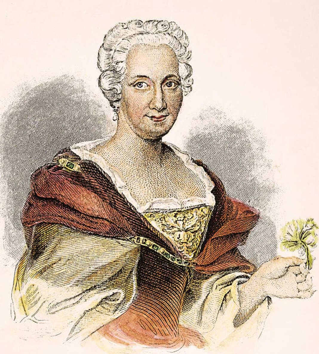 El legado de Maria Sybilla Merian • La Aventura de la Historia